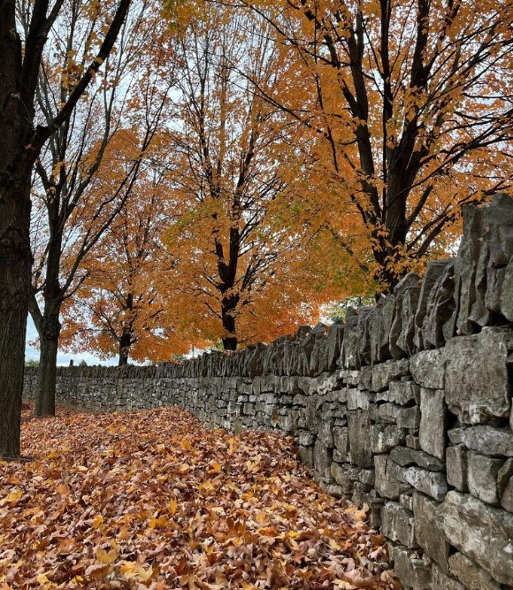 Accounting DE Assignments 11/17 – 11/21 – Dr. Schmidt’s Classes